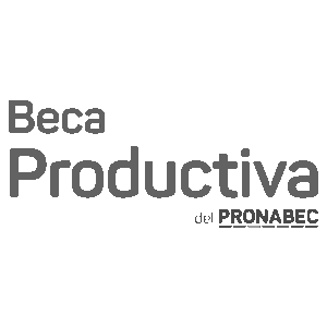 Concursos Becas Créditos – PRONABEC | PROGRAMA NACIONAL DE BECAS Y ...