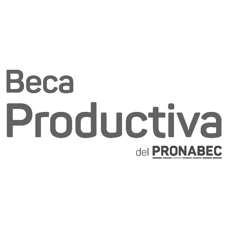 Concursos Becas Créditos – PRONABEC | PROGRAMA NACIONAL DE BECAS Y ...